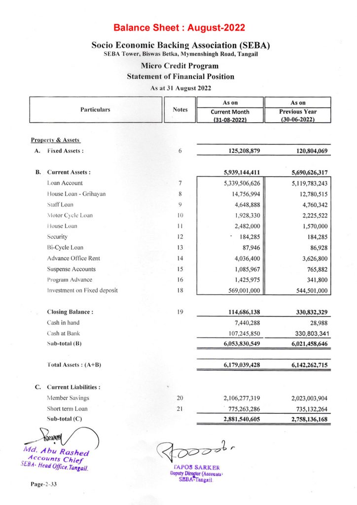 Balance Sheet Report (2022-2023) – Seba