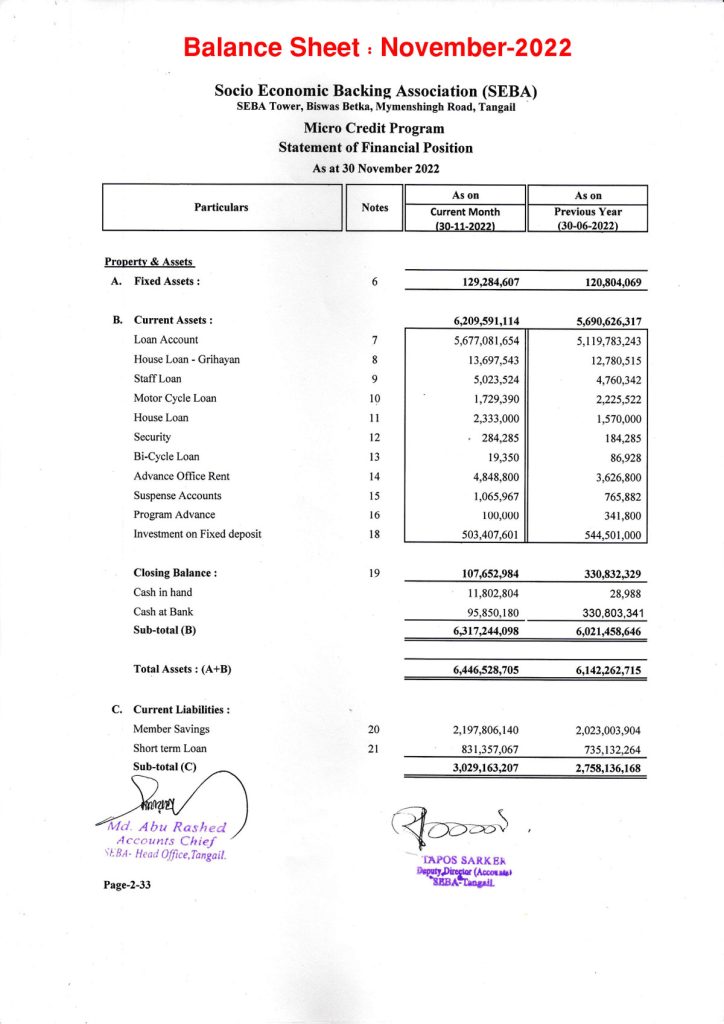 Balance Sheet Report (2022-2023) – Seba